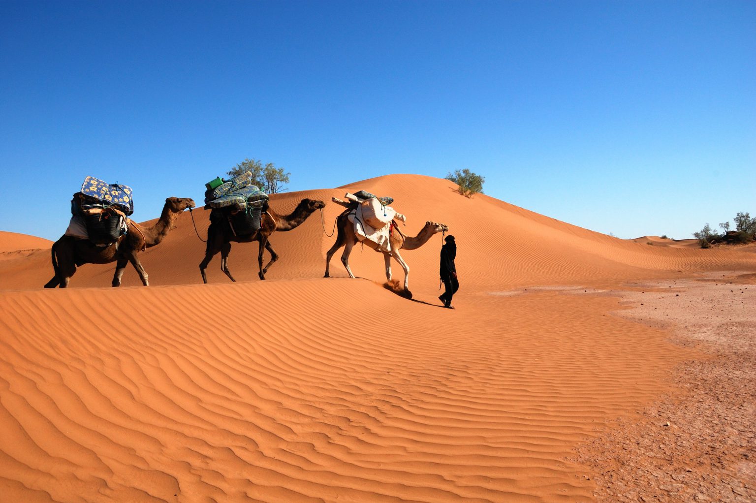 Contes Du Desert - Trekking in Desert - Contes Du Desert